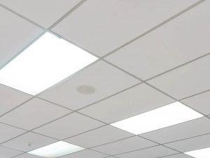 Custom Ceiling tiles - Footprint Creative